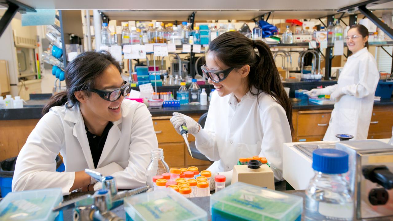 Training Programs | Neuroscience Graduate Group